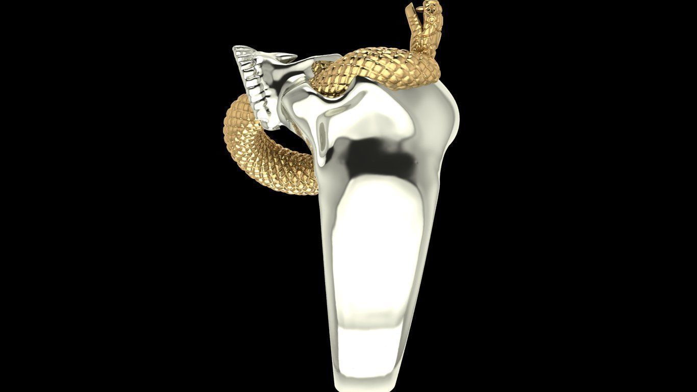 snake in Human skull 3D model 3D printable | CGTrader