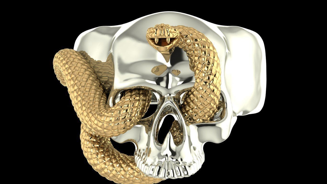 snake in Human skull 3D model 3D printable | CGTrader