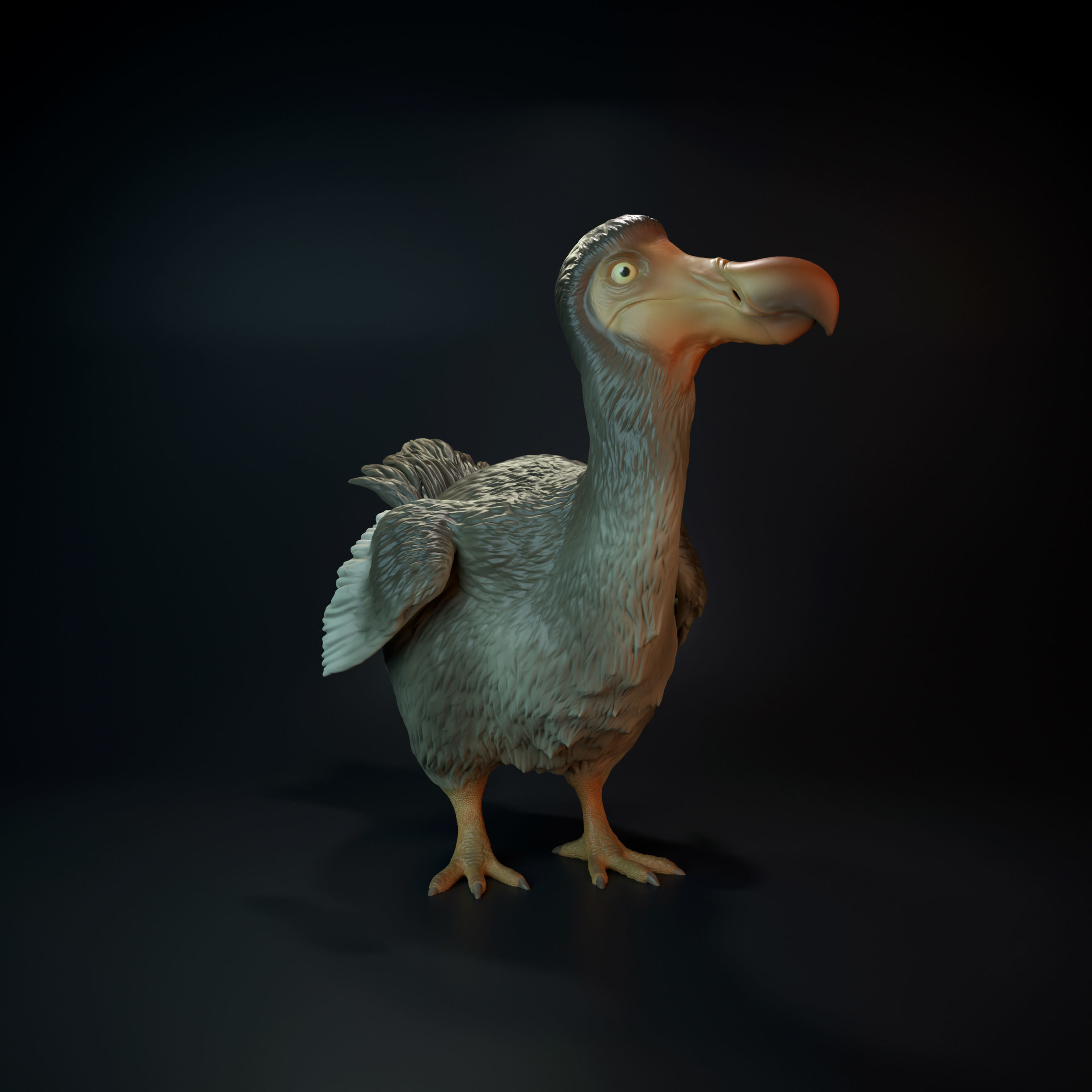 Dodo standing 3D model 3D printable | CGTrader