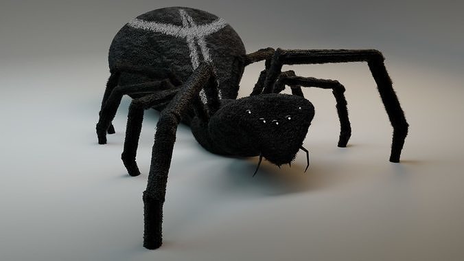 Spider 3D model | CGTrader
