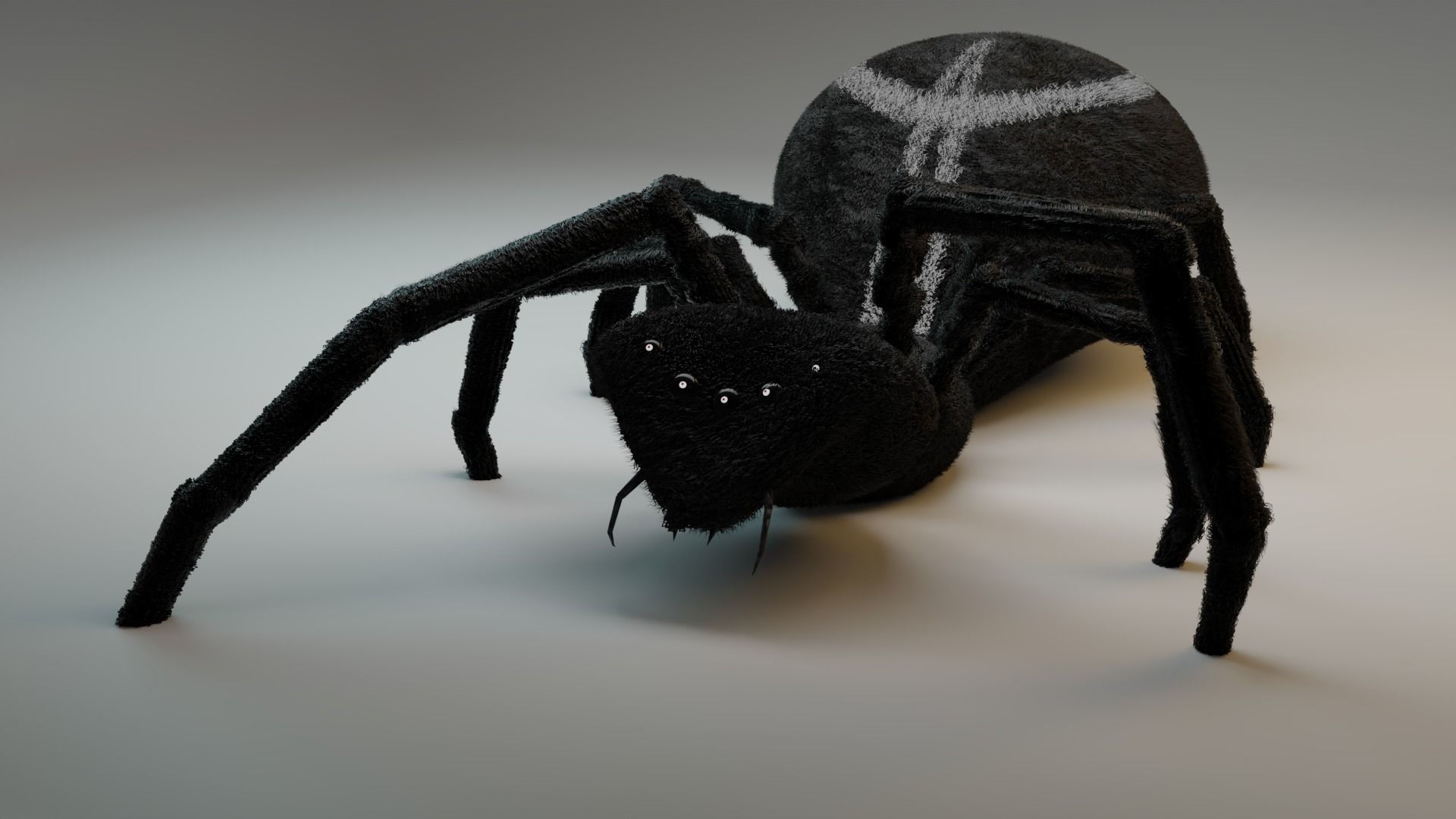 Spider 3D model | CGTrader