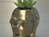 FLOWER POT C-3PO Citripio 3D model 3D printable | CGTrader