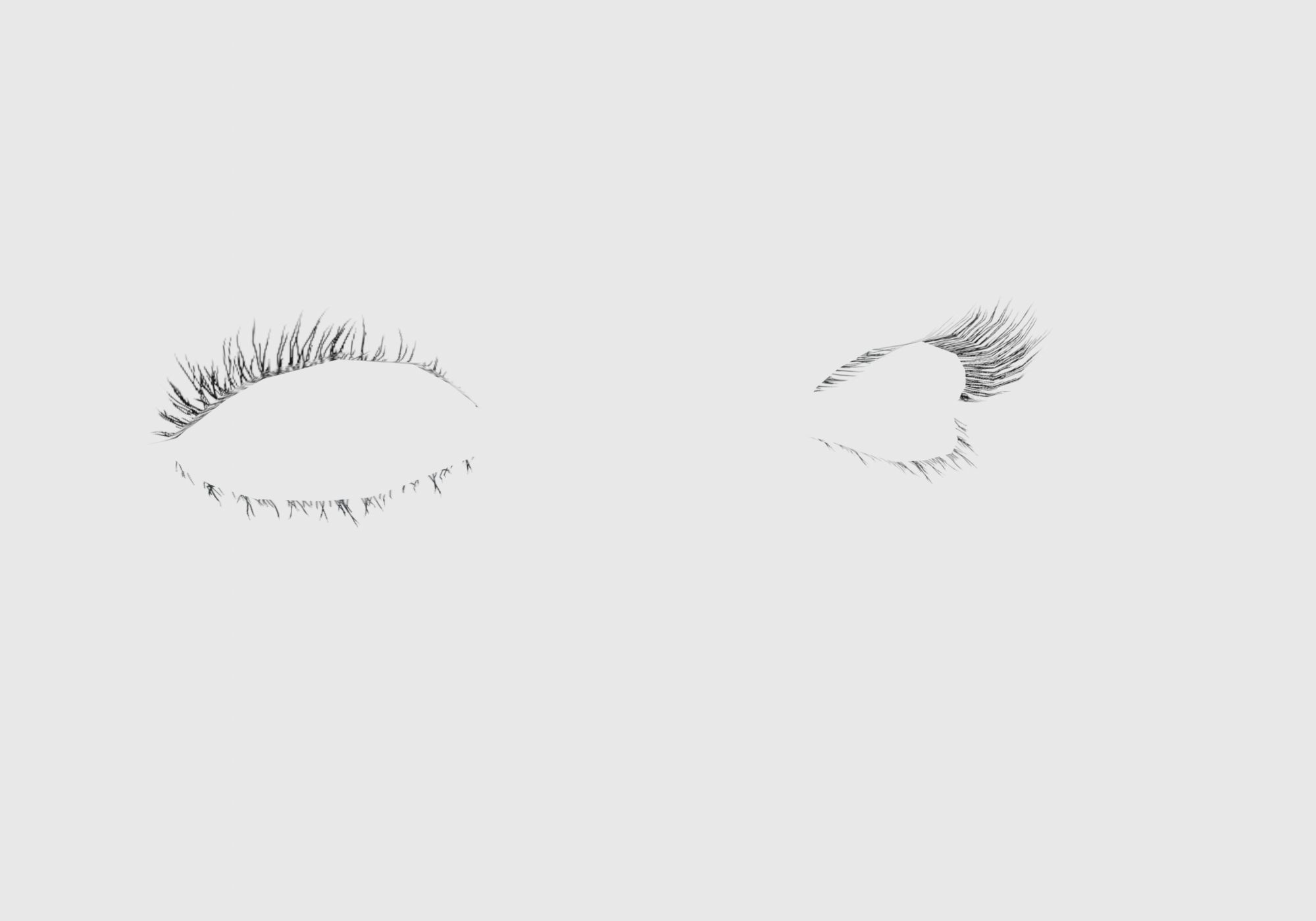 Natural Long Eyelashes 3D model | CGTrader