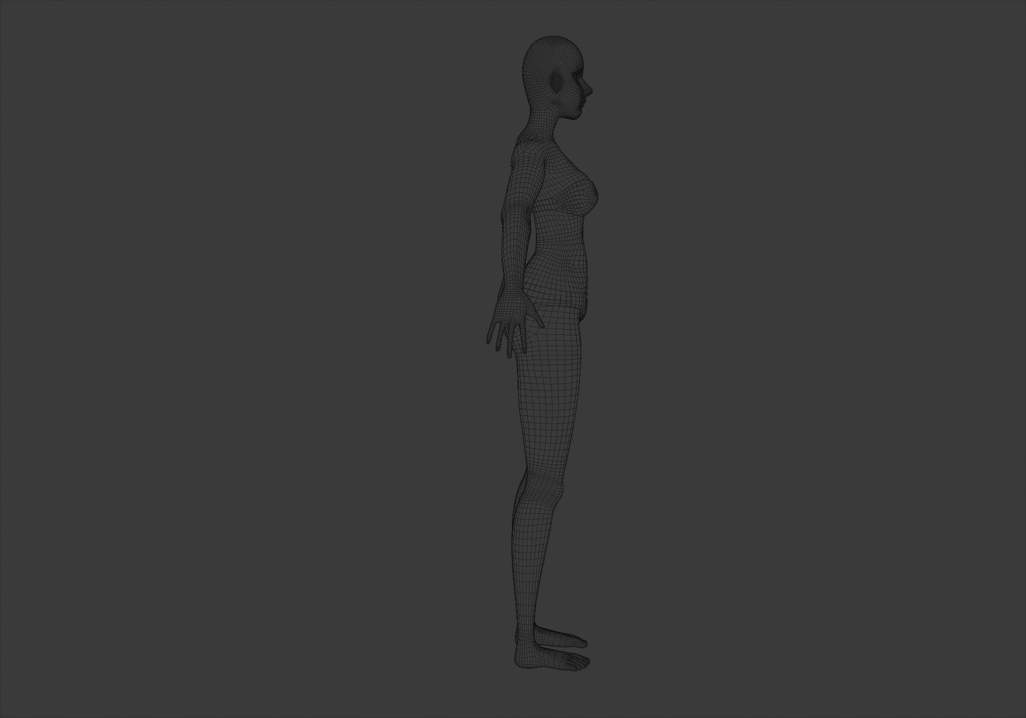 Female Basic Woman 3D model | CGTrader