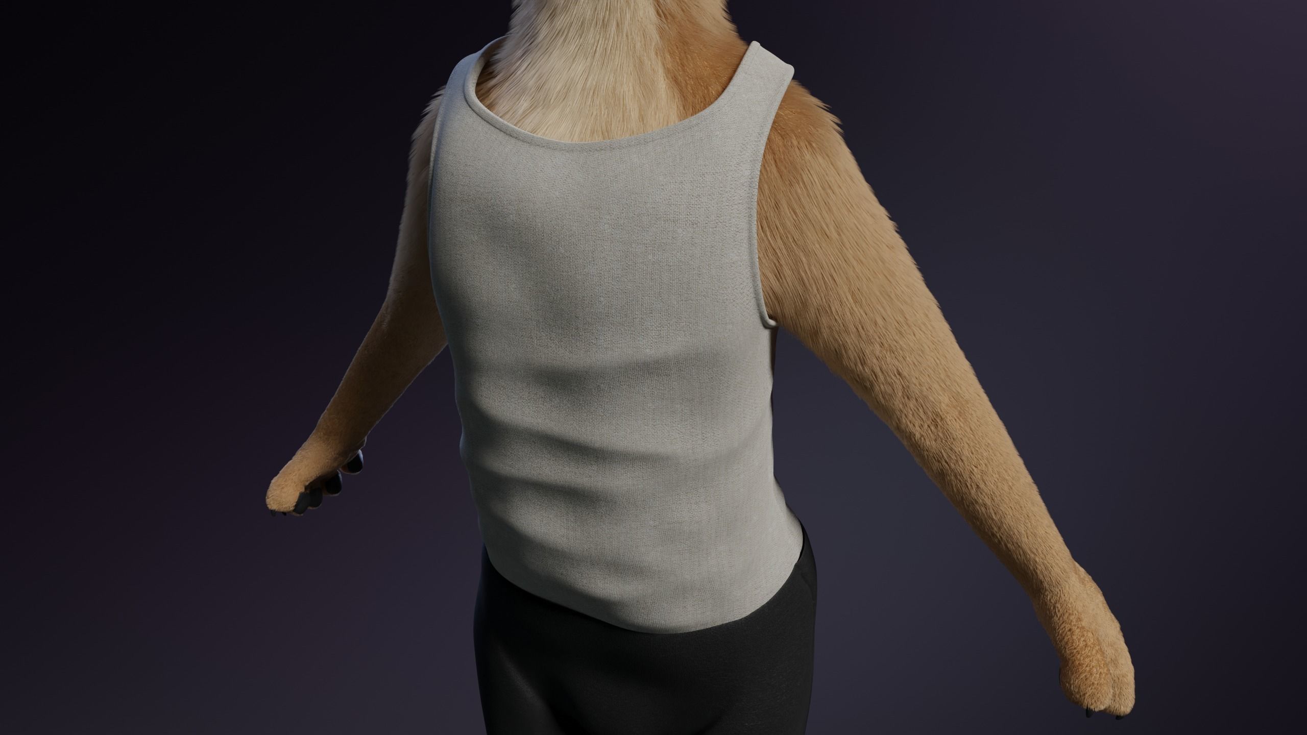 Jacob anthro dingo 3D model rigged | CGTrader