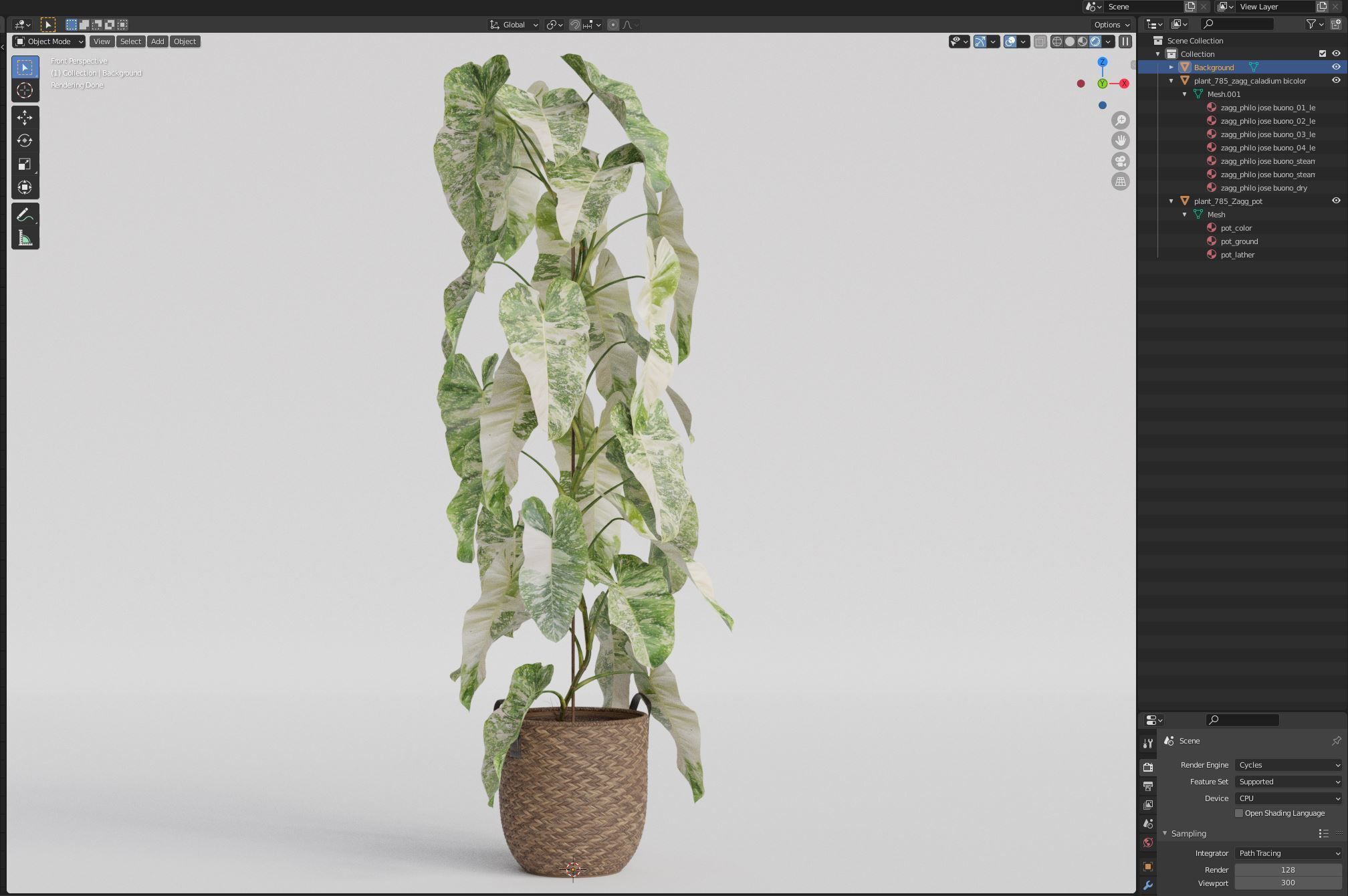 Plants collection 785 3D model | CGTrader