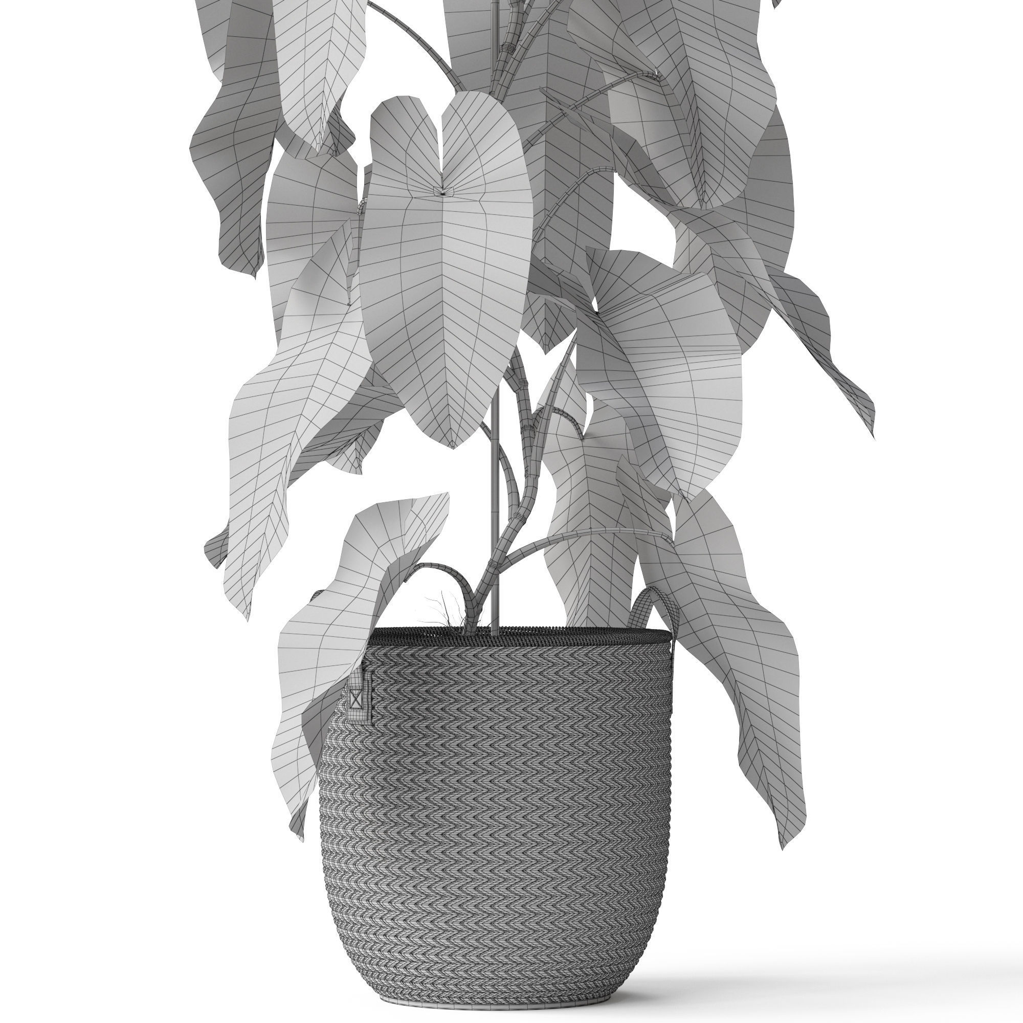 Plants collection 785 3D model | CGTrader