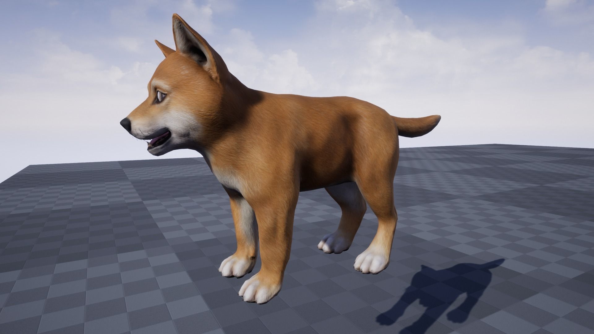 3D model Puppy - Shiba Inu VR / AR / low-poly rigged animated | CGTrader