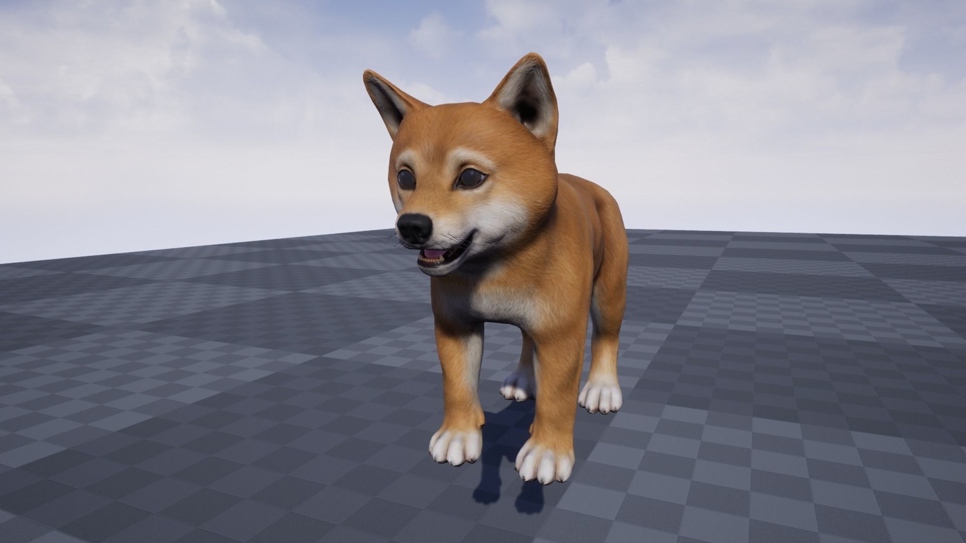 3D model Puppy - Shiba Inu VR / AR / low-poly rigged animated | CGTrader