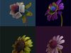 FLOWER CREATOR 3D model rigged | CGTrader