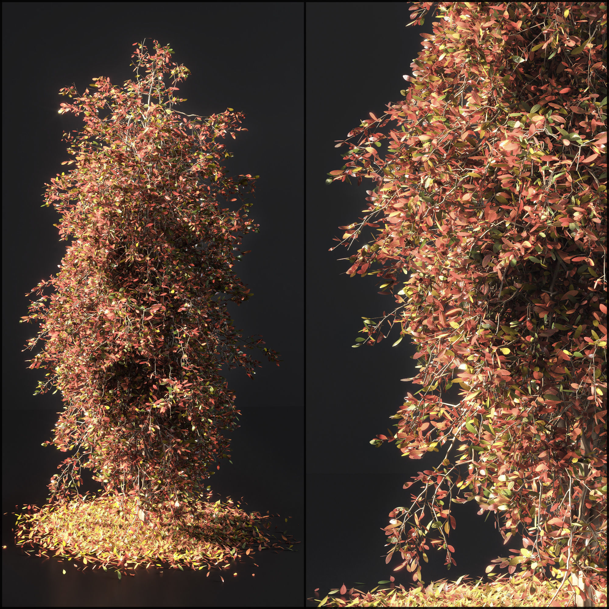 3D model Autumn tree 001 VR / AR / low-poly | CGTrader