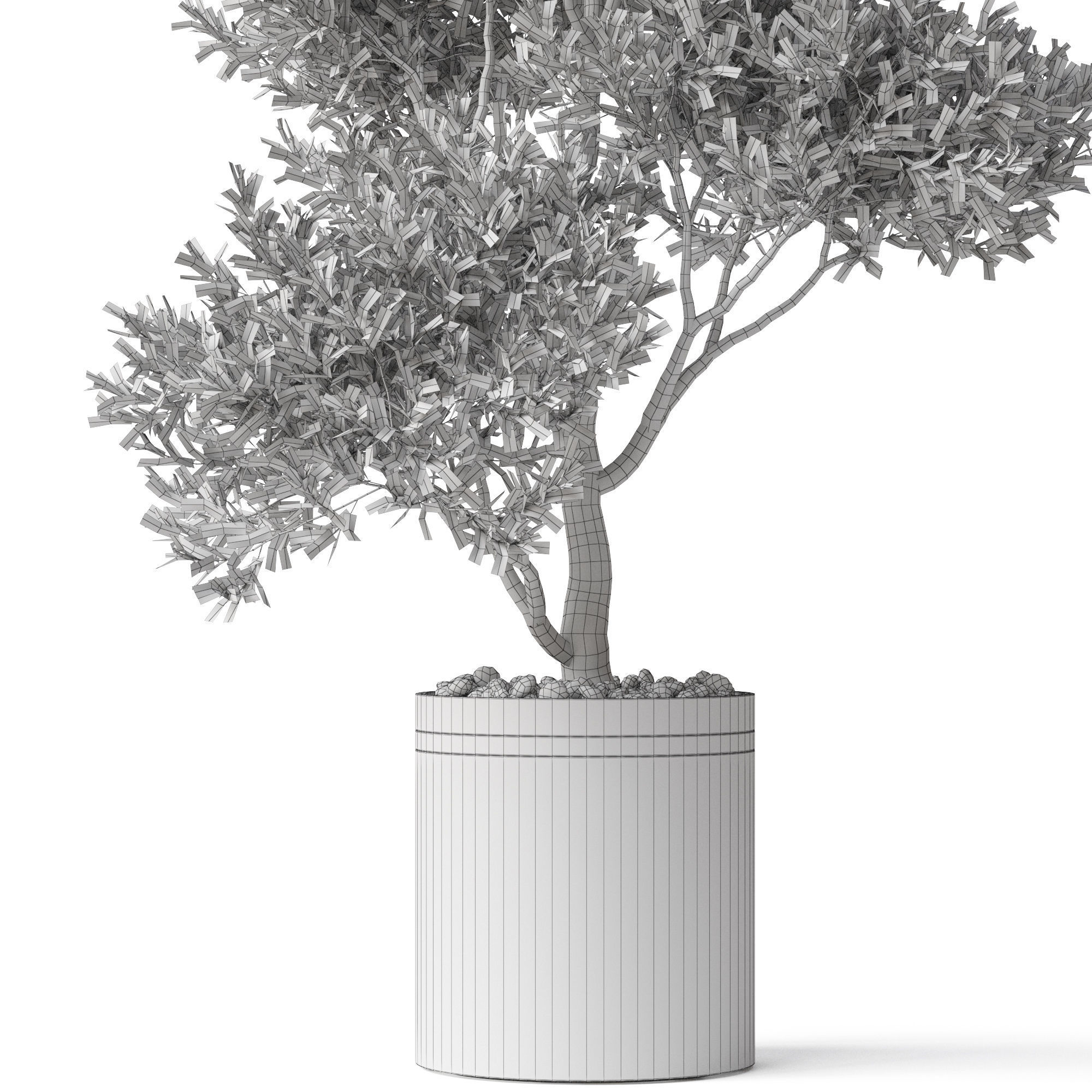 Plants collection 788 3D model | CGTrader