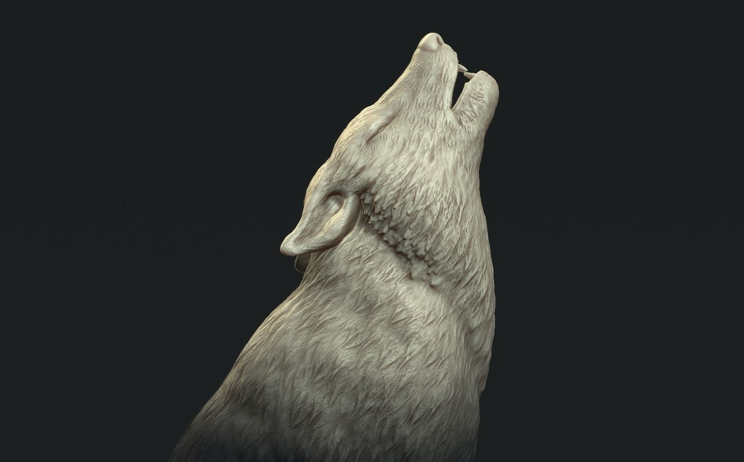 alpha wolf 3D model | CGTrader
