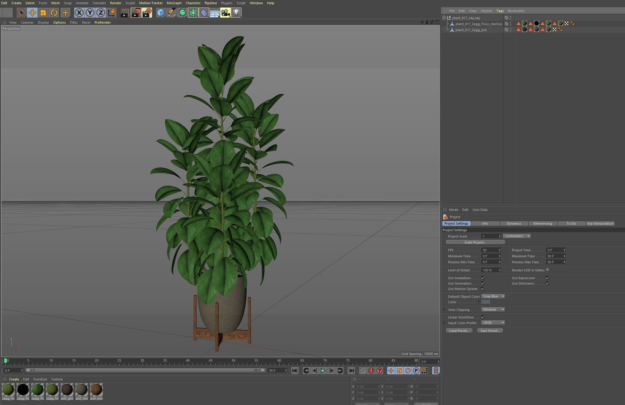 Plants collection 817 3D model | CGTrader