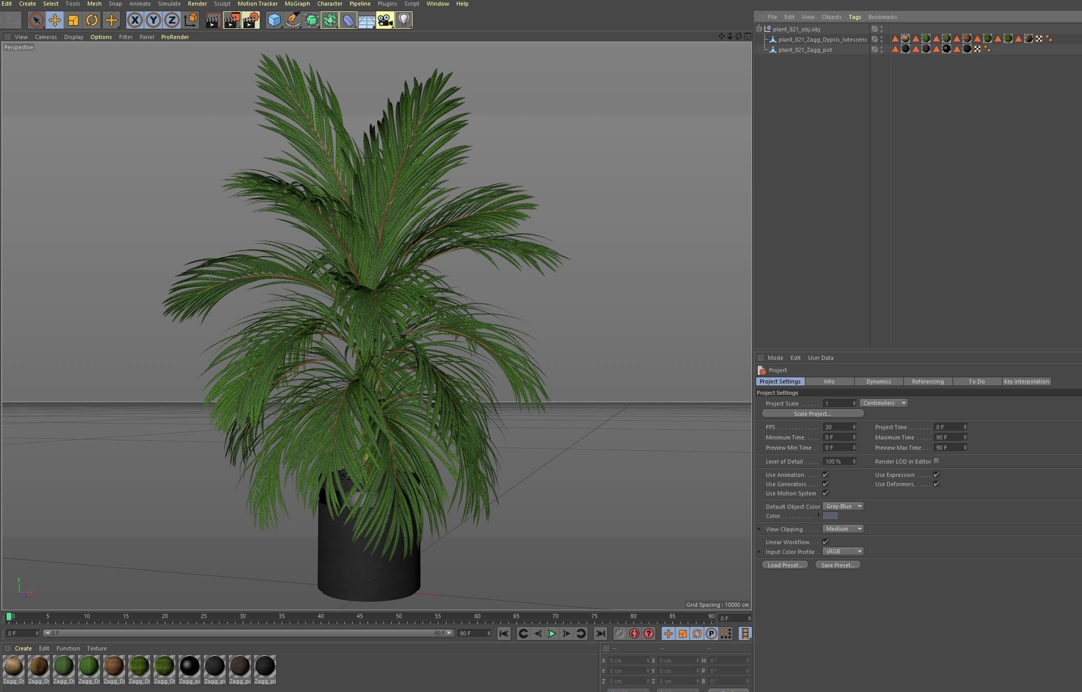 Plants collection 821 3D model | CGTrader
