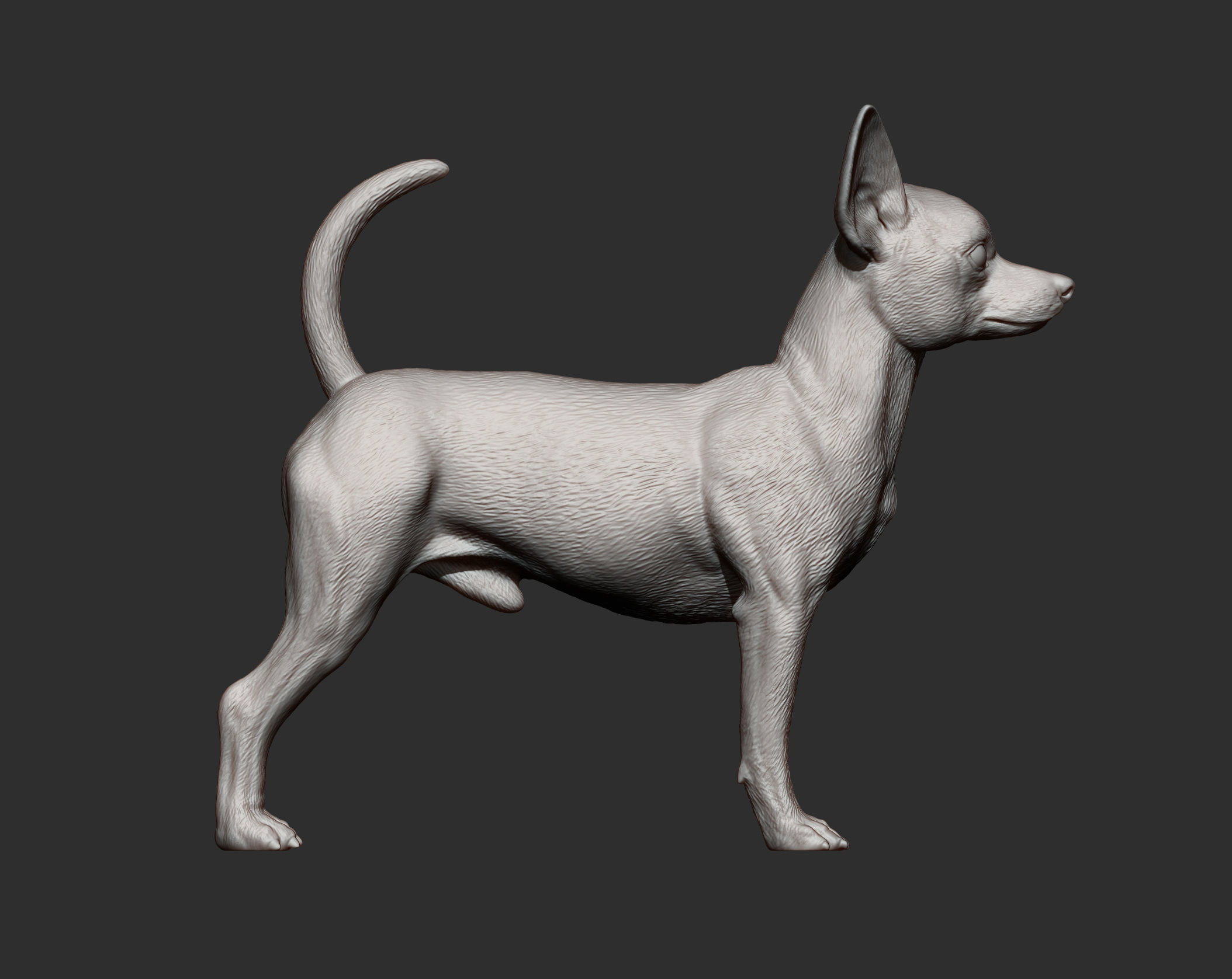 Prague Ratter 3D model 3D printable | CGTrader