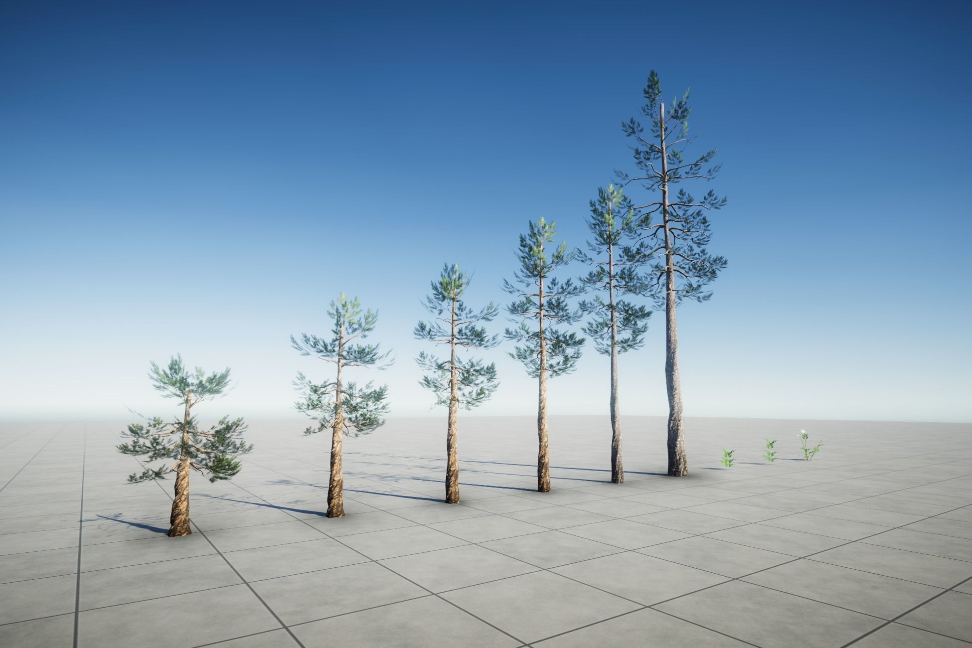 Realistic Pine Pack free VR / AR / low-poly 3D model | CGTrader