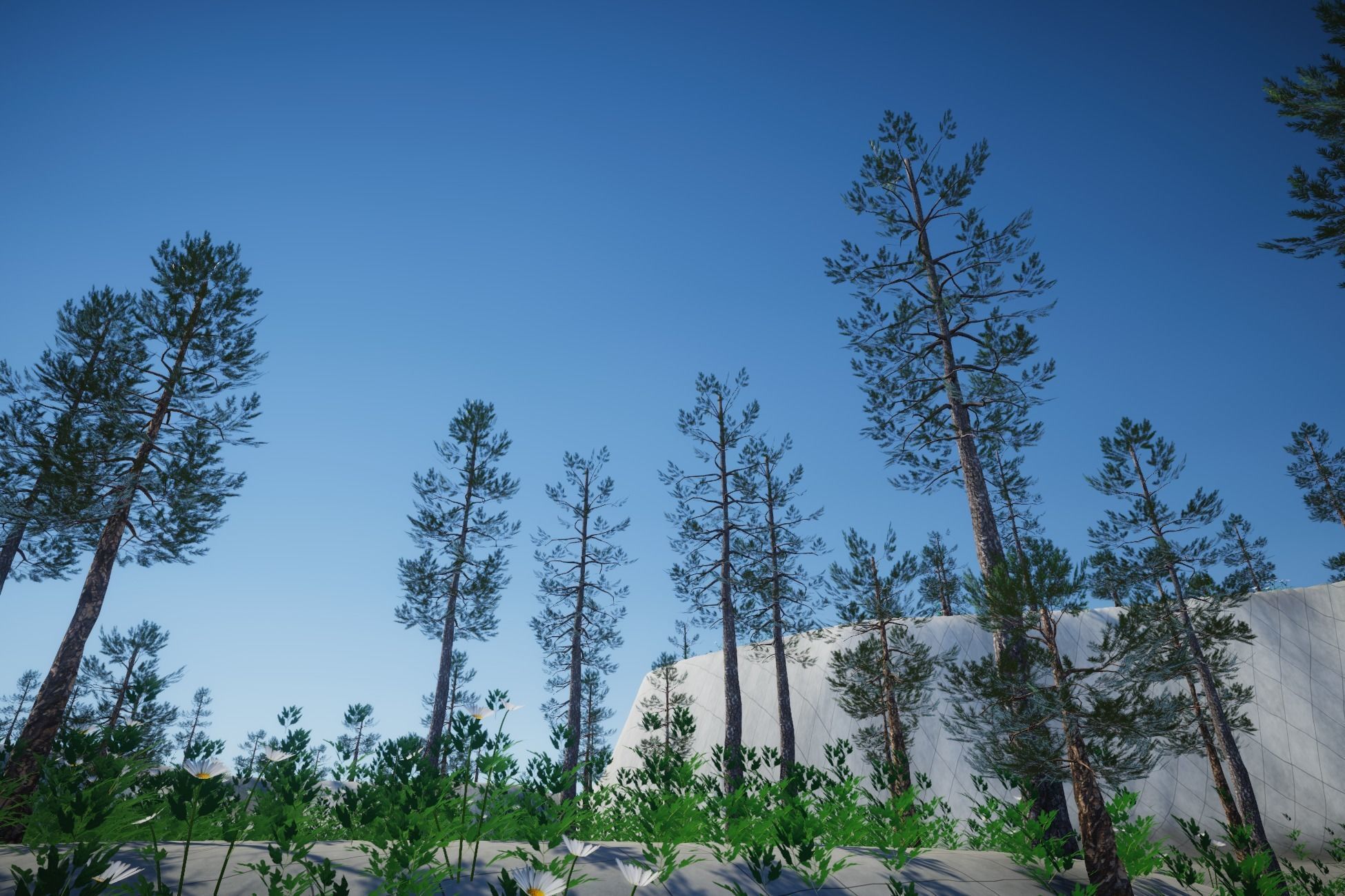 Realistic Pine Pack free VR / AR / low-poly 3D model | CGTrader