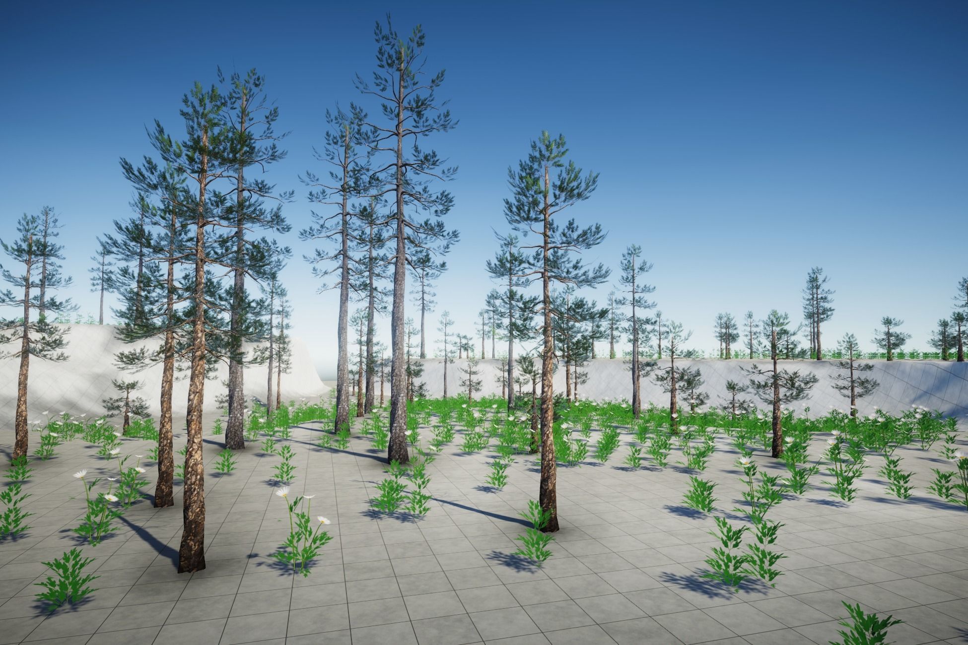 Realistic Pine Pack free VR / AR / low-poly 3D model | CGTrader