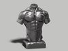 low poly torso 3d print model 3D model 3D printable | CGTrader