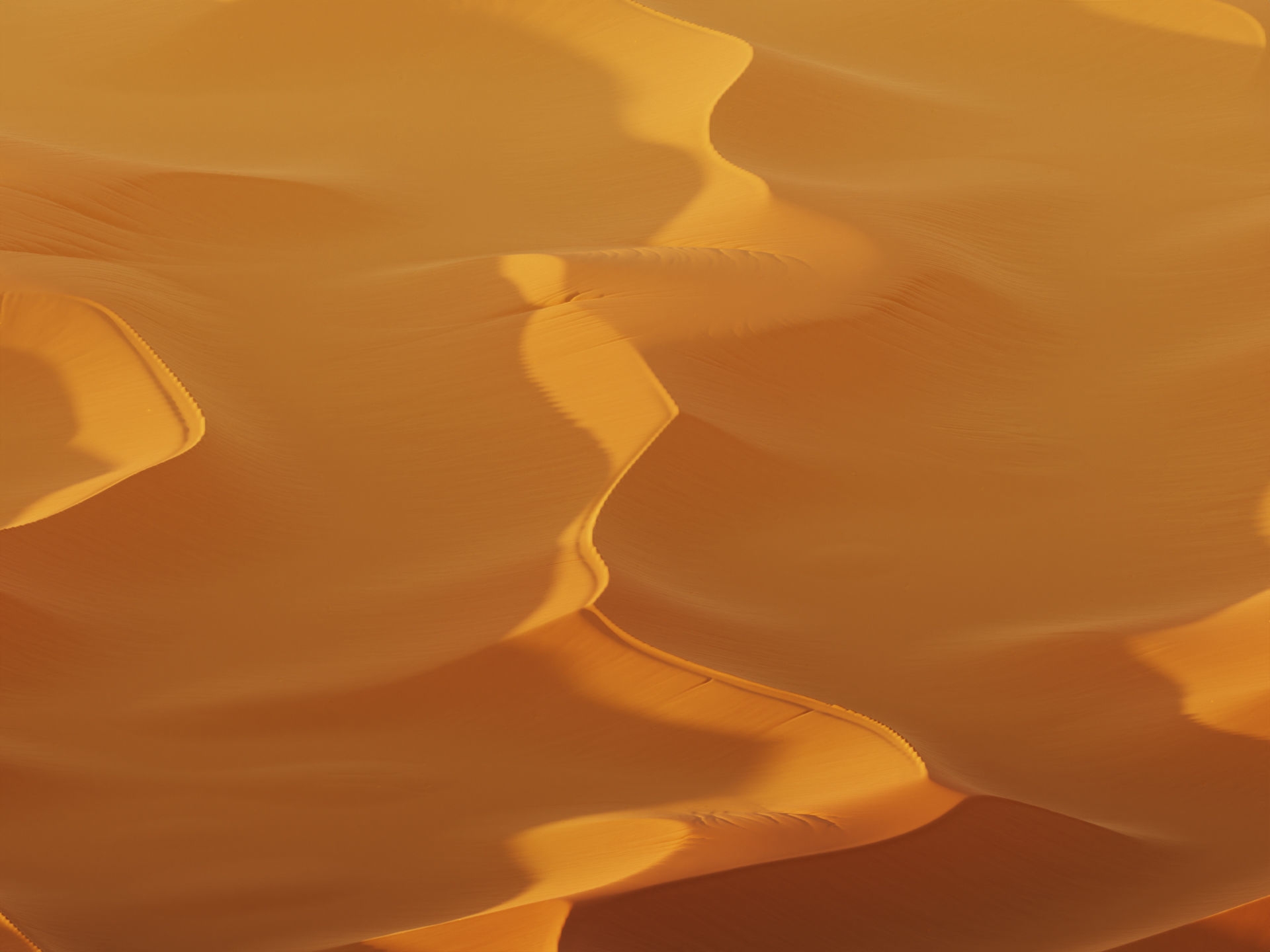 Desert Dunes 3D model | CGTrader