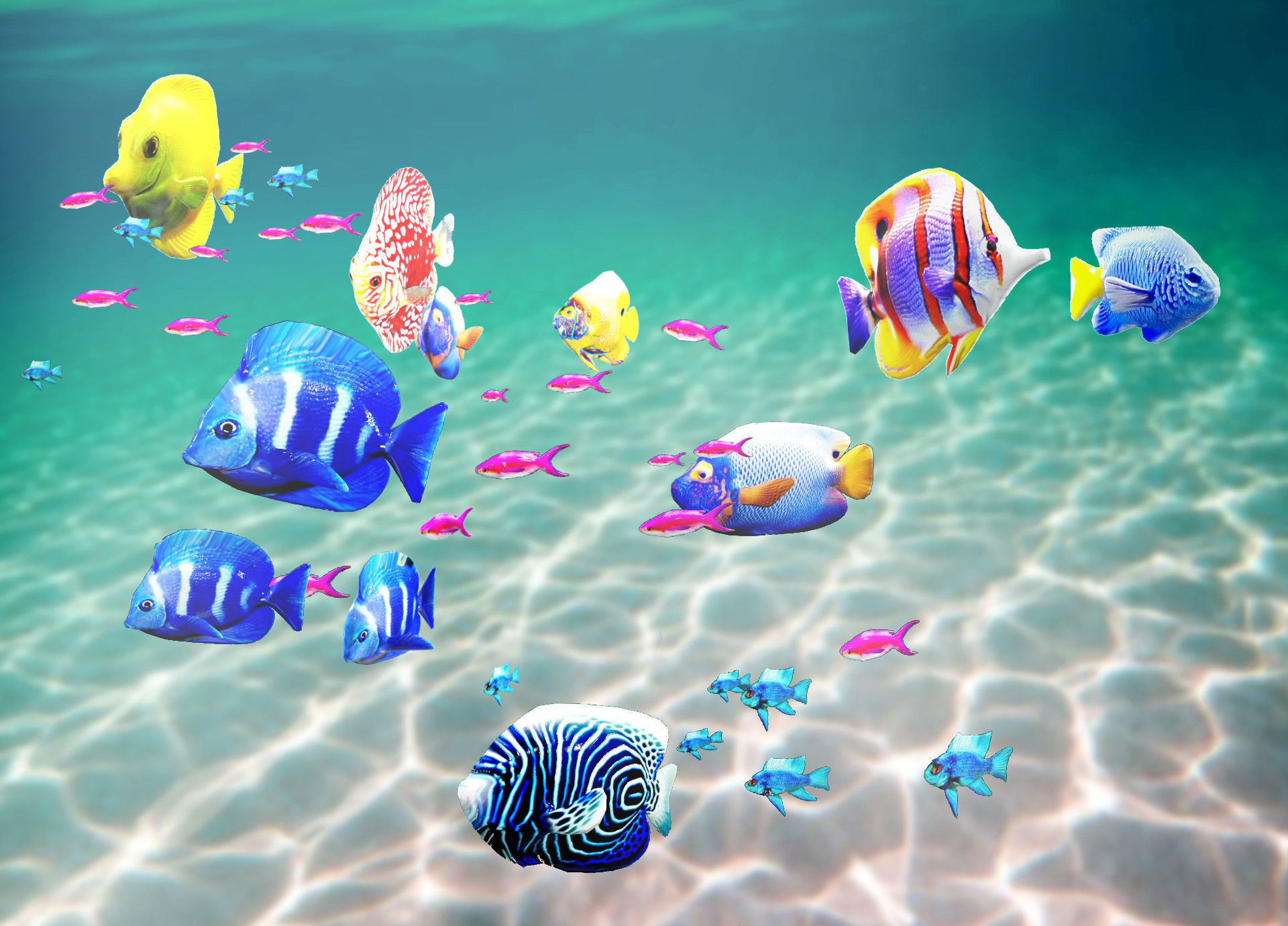 3D model Animated Tropical Fish VR / AR / low-poly | CGTrader
