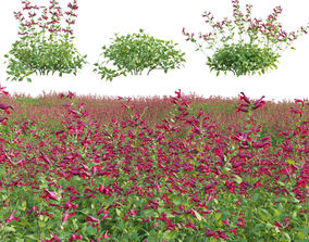 Wendy 3D Models | CGTrader