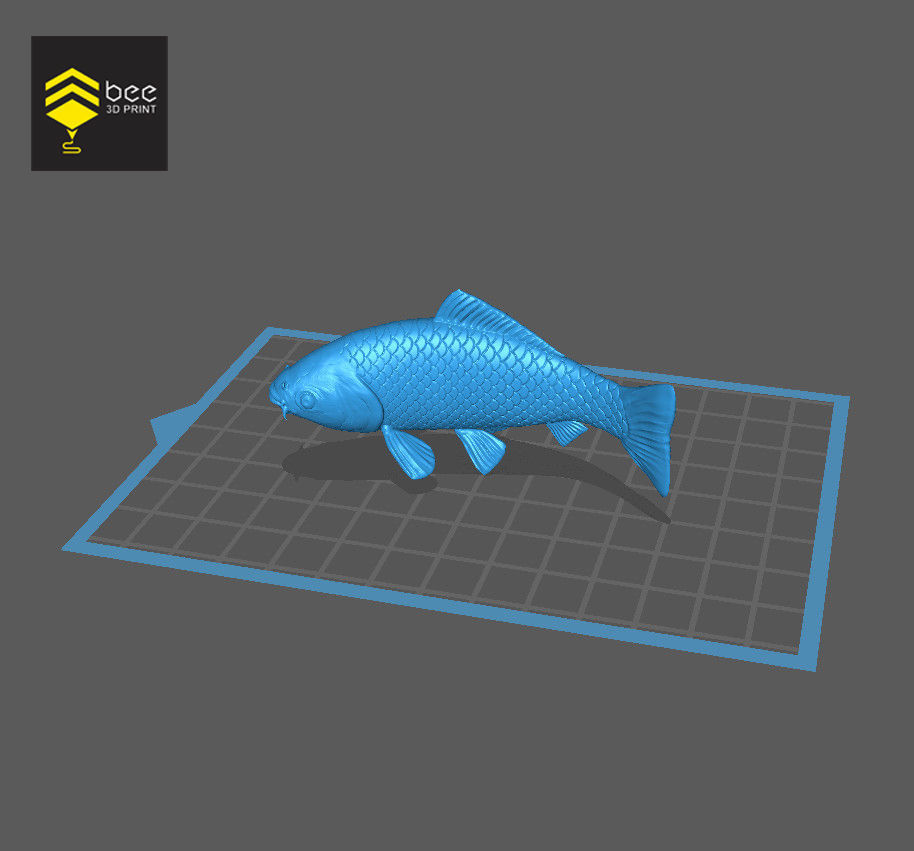 Koi Fish - STL file - Ready for 3d print 3D model 3D printable | CGTrader