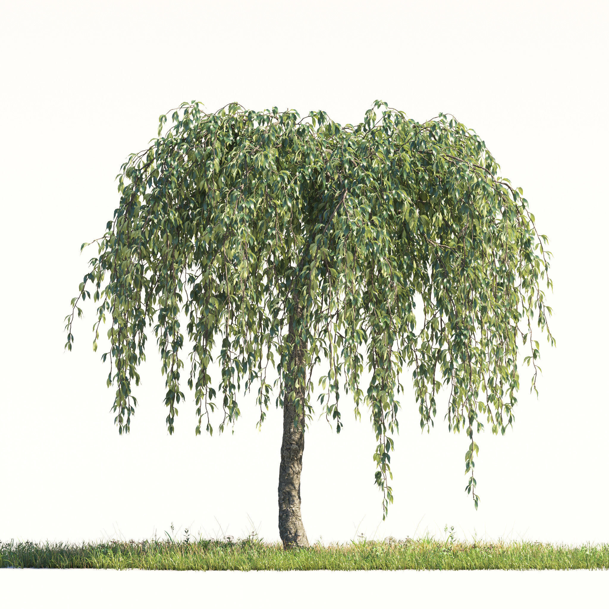 Archmodels vol 264 - collection of 40 blooming trees 3D model | CGTrader