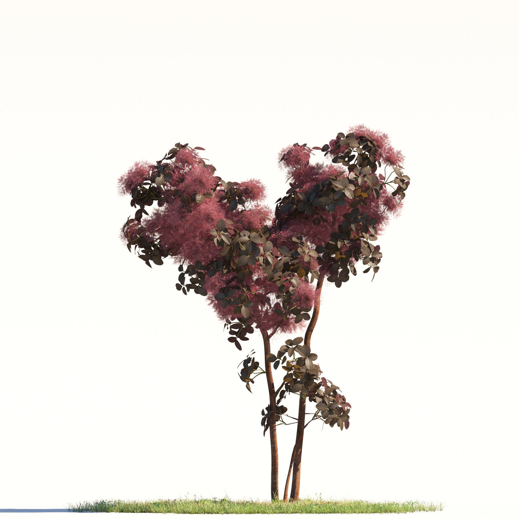 Archmodels vol 264 - collection of 40 blooming trees 3D model | CGTrader