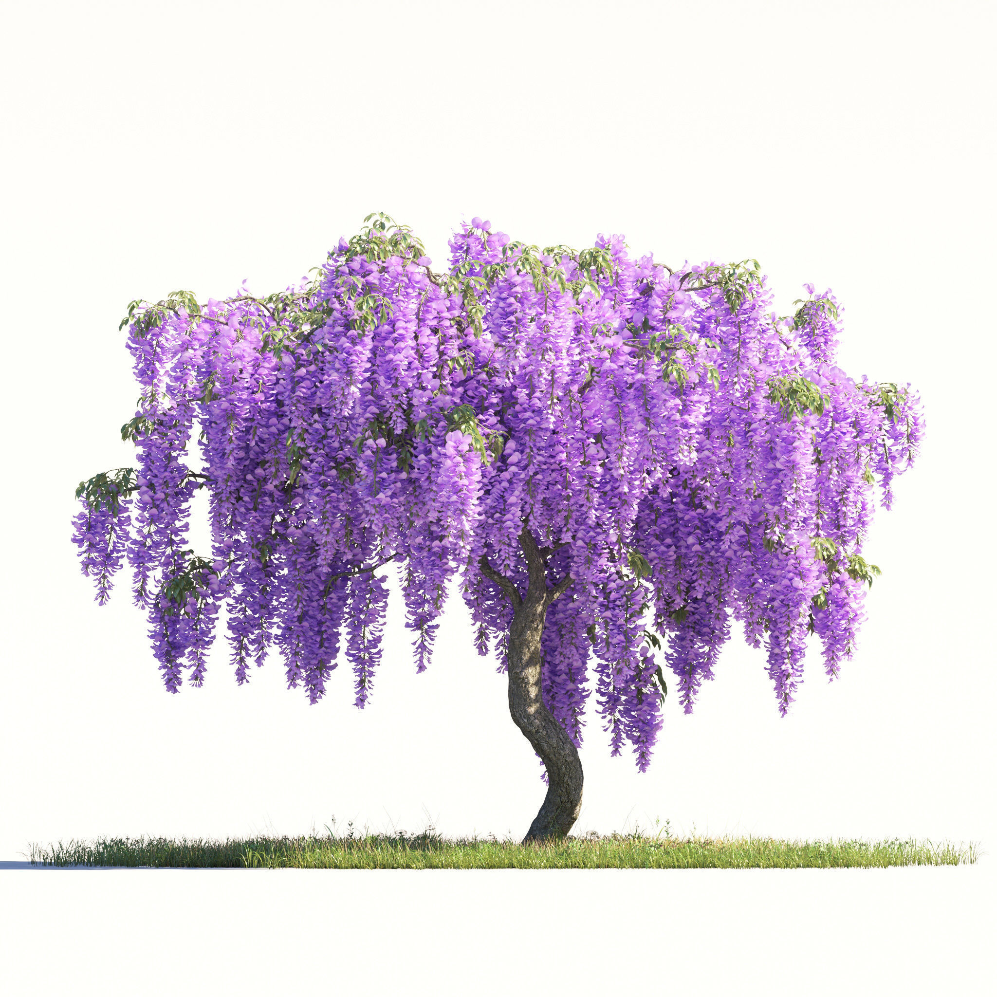 Archmodels vol 264 - collection of 40 blooming trees 3D model | CGTrader