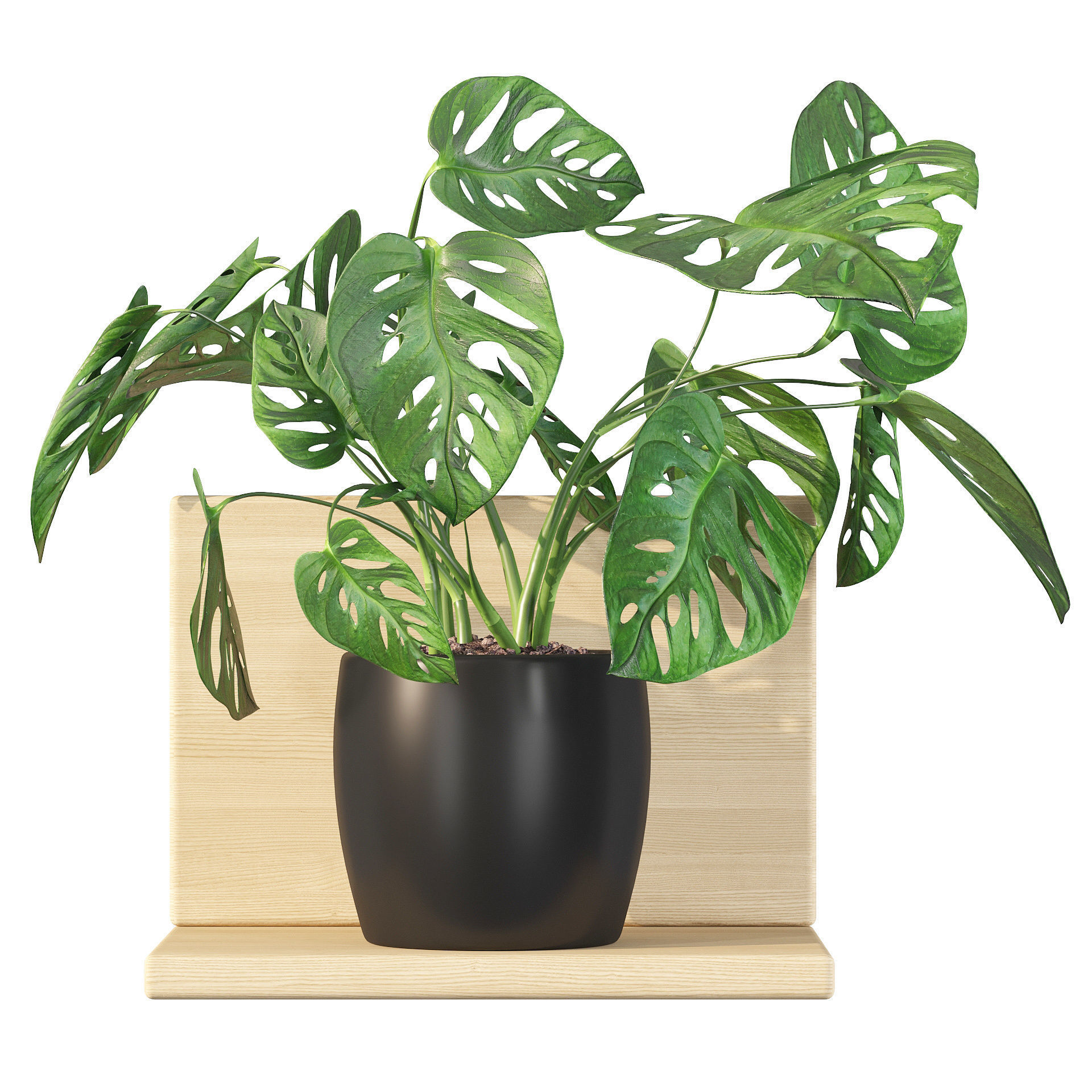 Monstera monkey mask 01 3D model | CGTrader