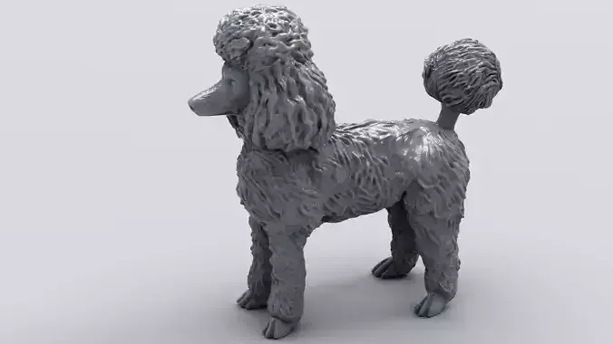 Poodle - 3D Print 3D model 3D printable | CGTrader