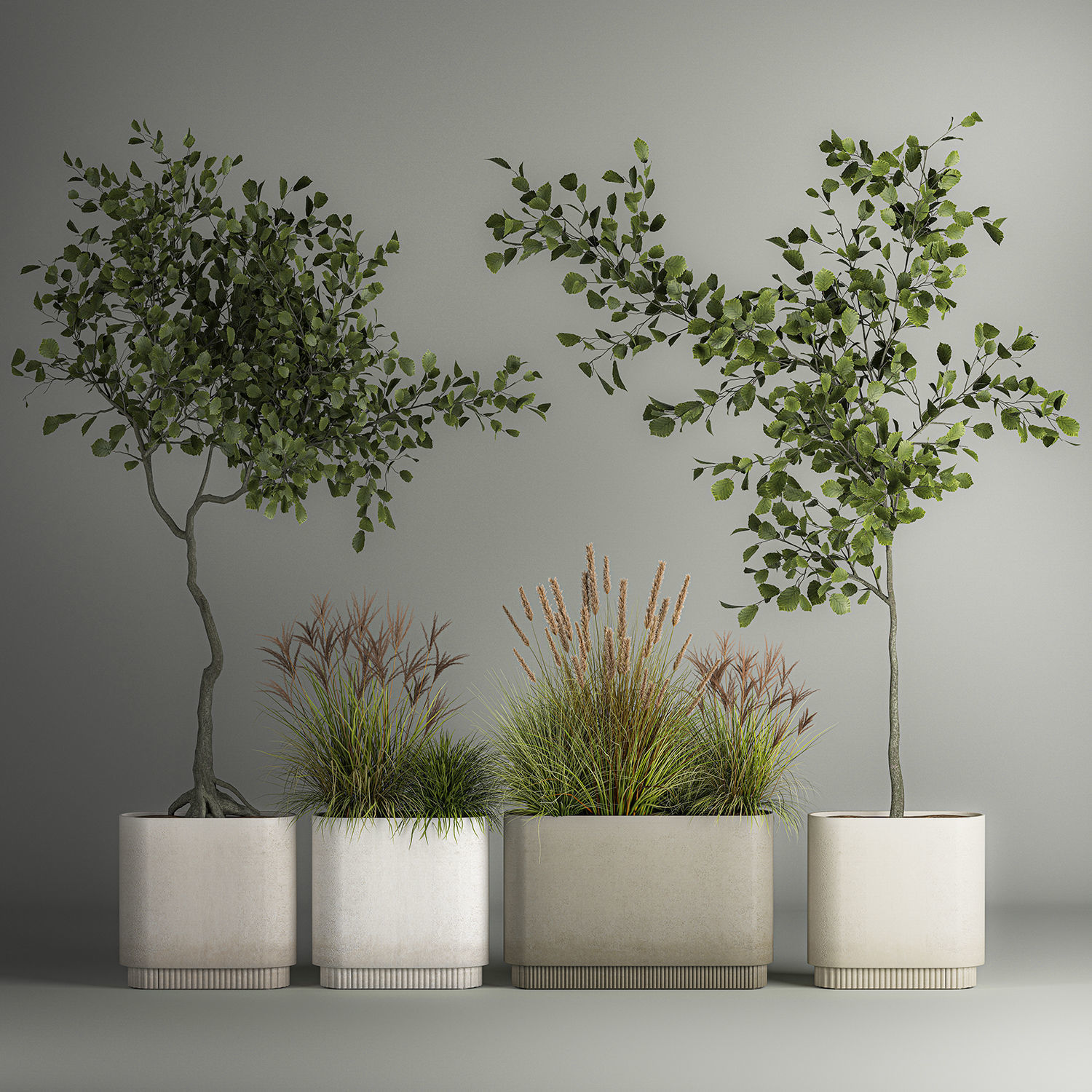 Decorative Trees In Concrete Pots For Landscaping 3D model | CGTrader