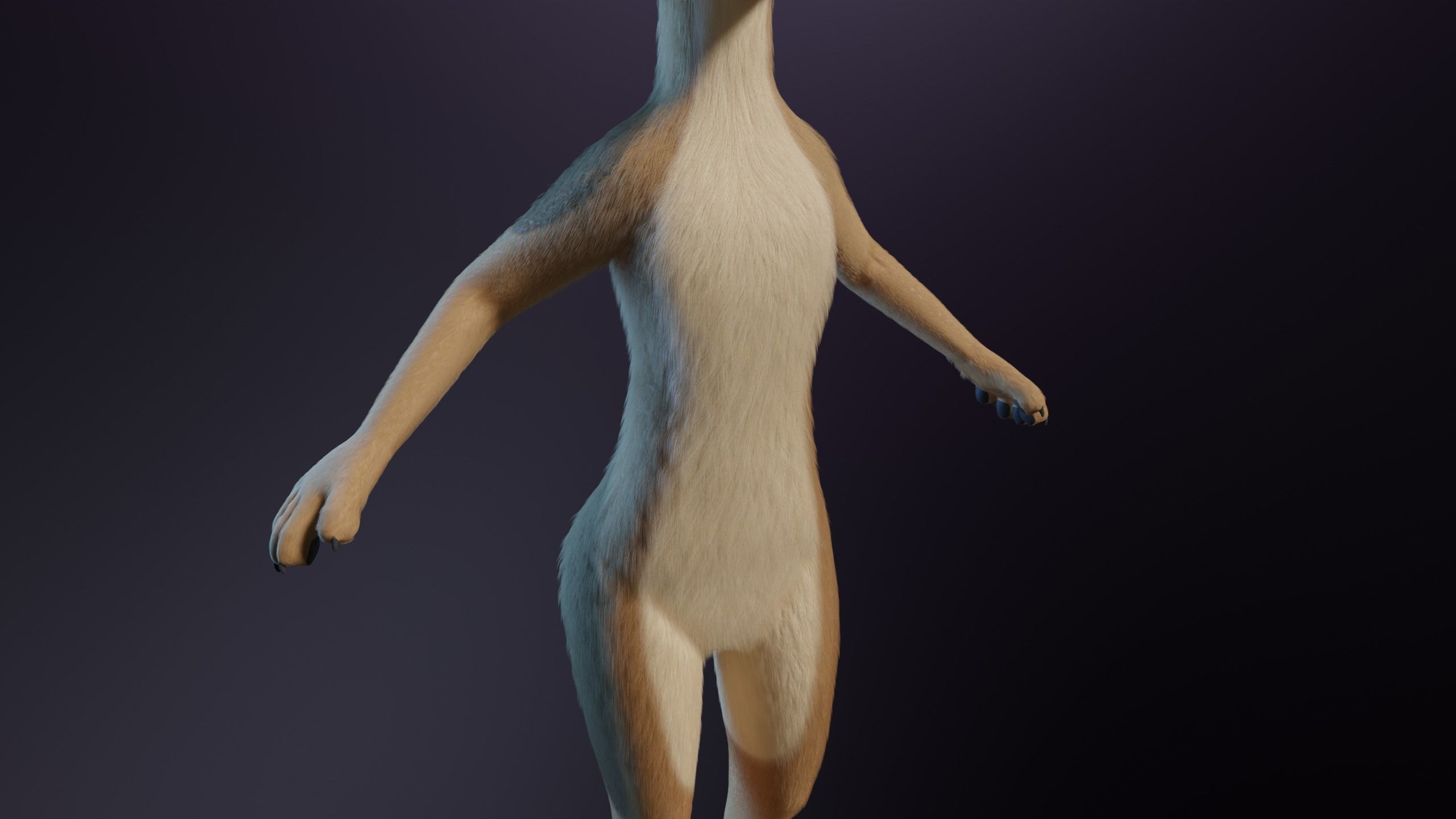 Athena Anthro Fox 3D model rigged | CGTrader