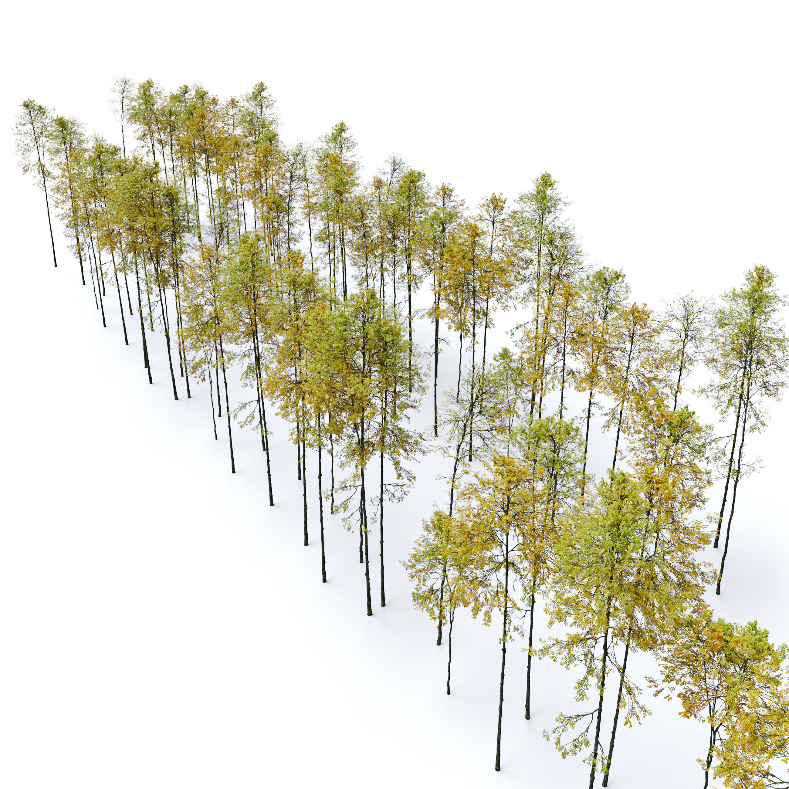 Autumn forest trees 3D model | CGTrader