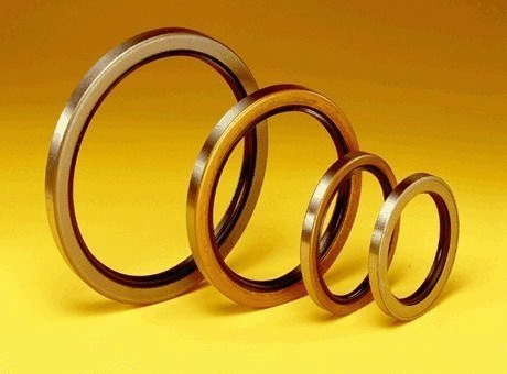 Lip-type seal (Type IEL) free 3D model | CGTrader