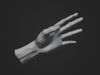 Male Left Hand 3D model | CGTrader