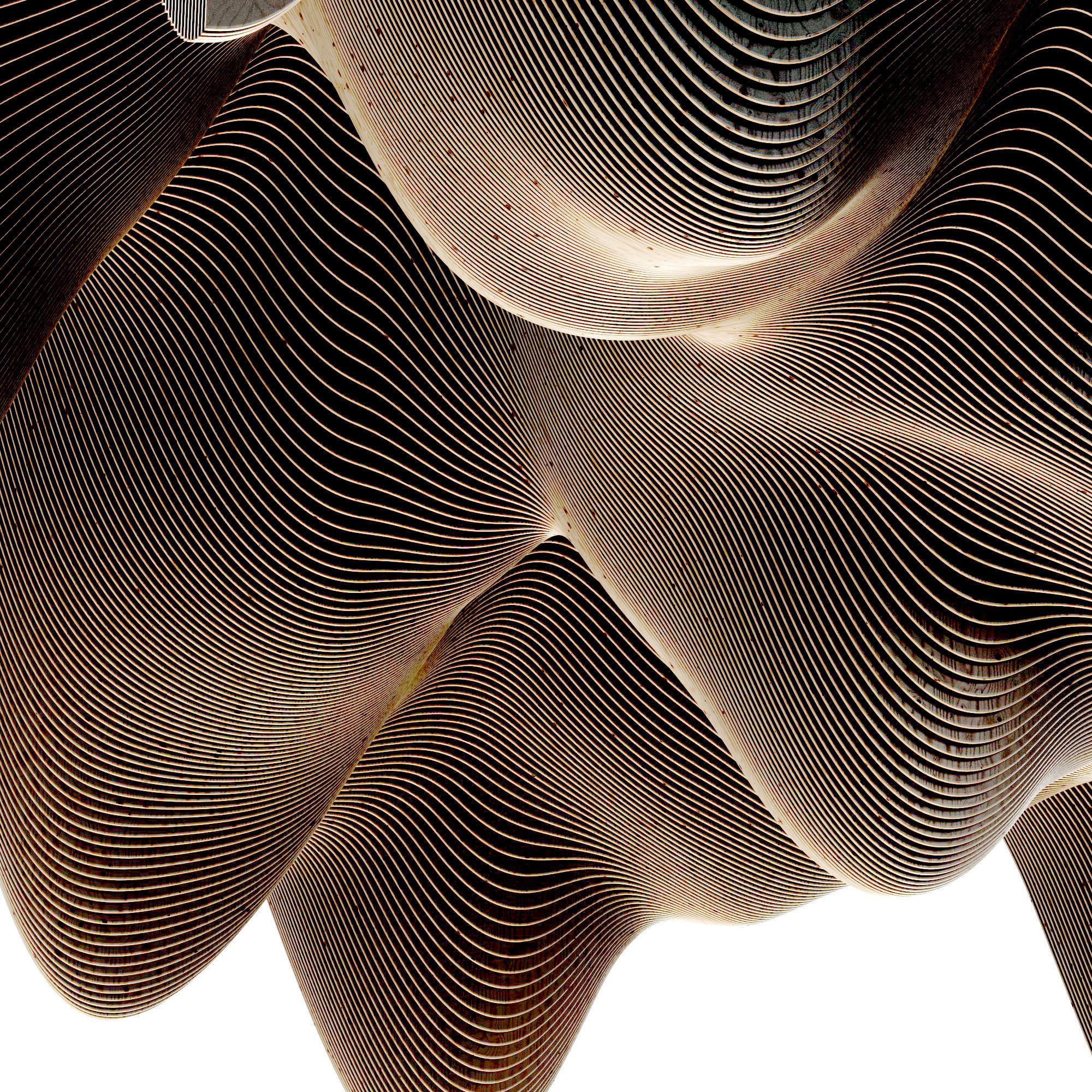 Parametric hall n5 3D model | CGTrader