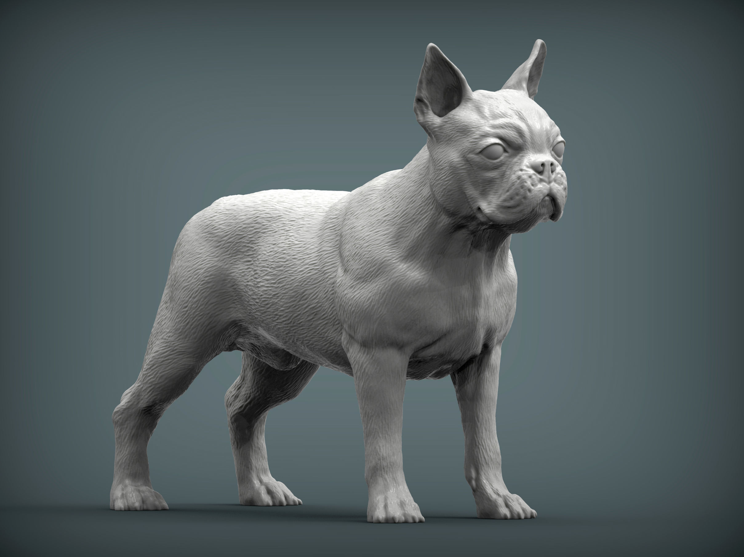 boston terrier 3D model 3D printable | CGTrader