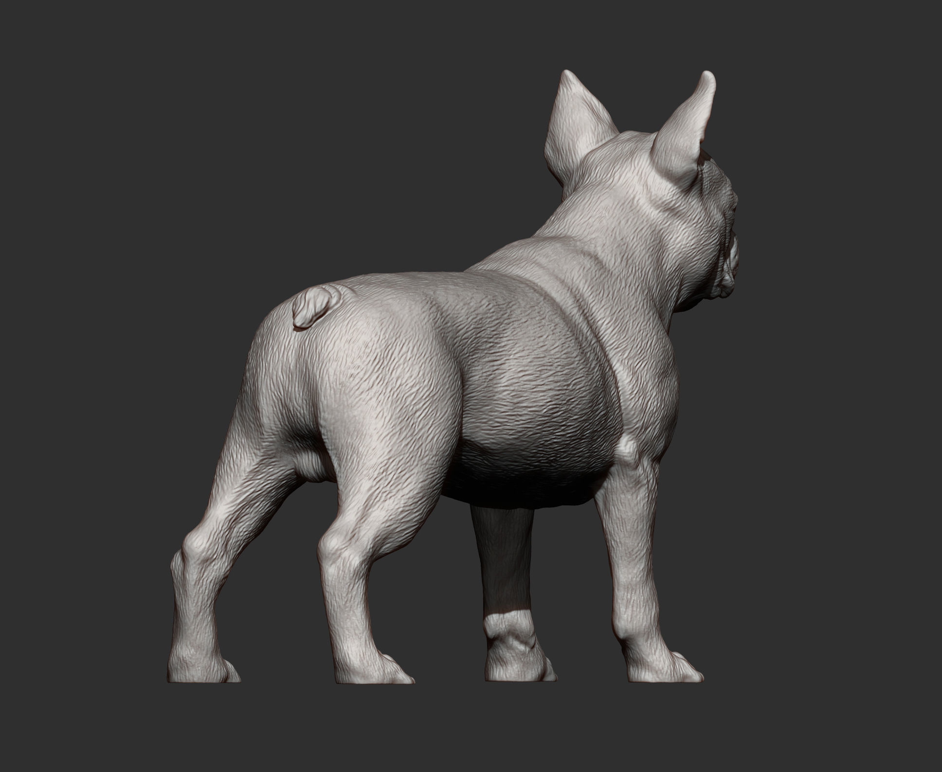 boston terrier 3D model 3D printable | CGTrader