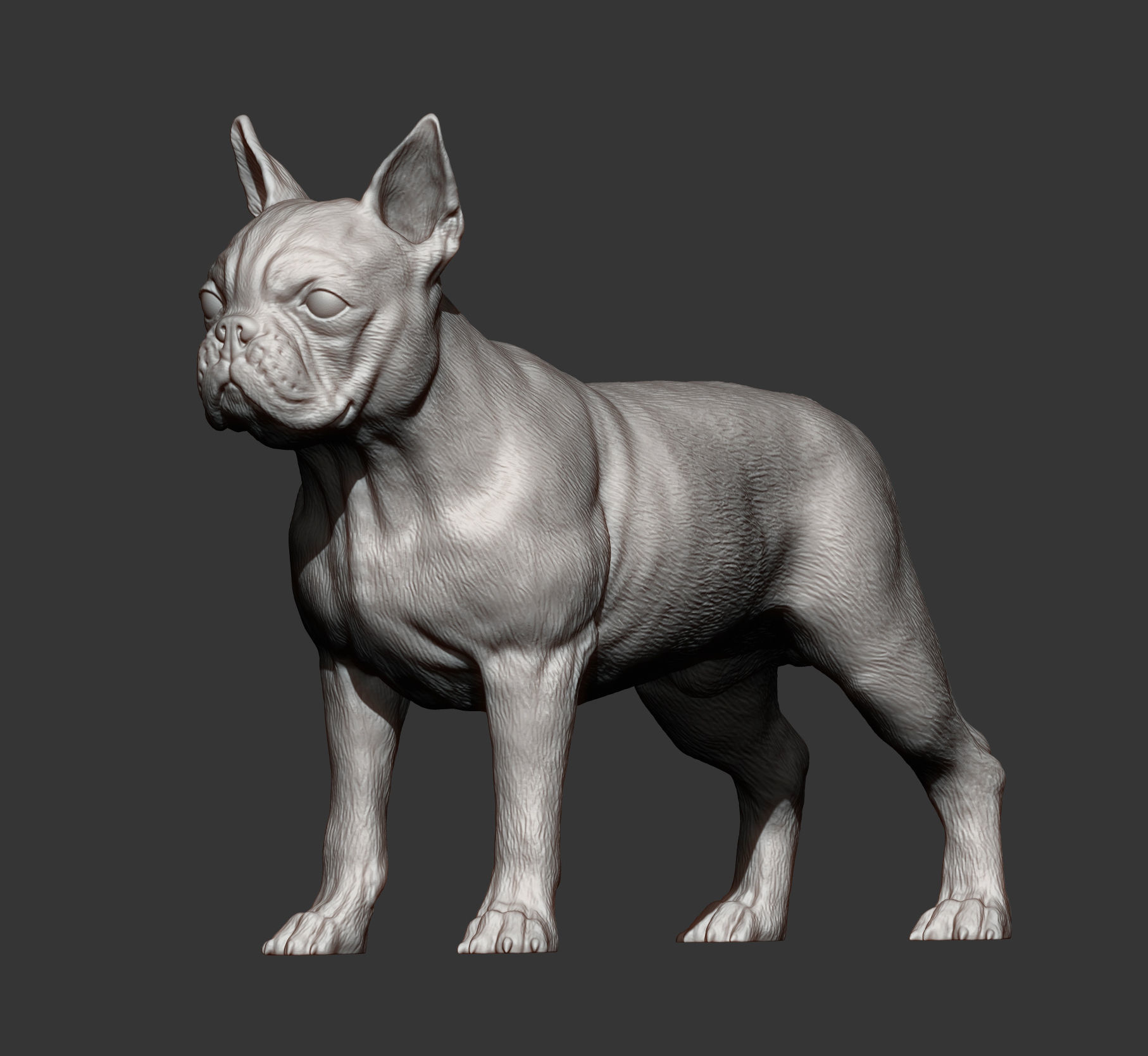 boston terrier 3D model 3D printable | CGTrader