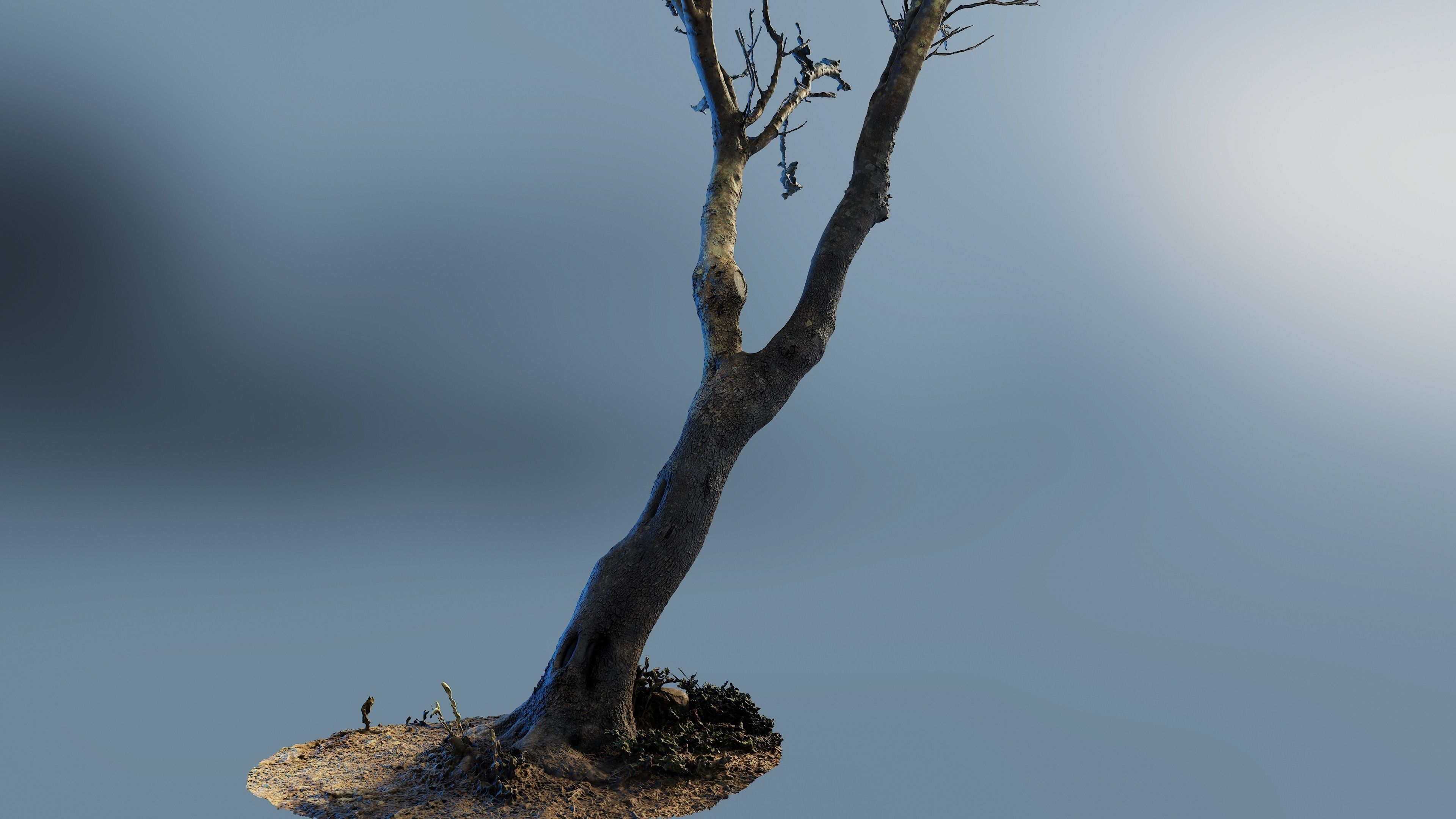 scantree01 dead tree 3D model | CGTrader