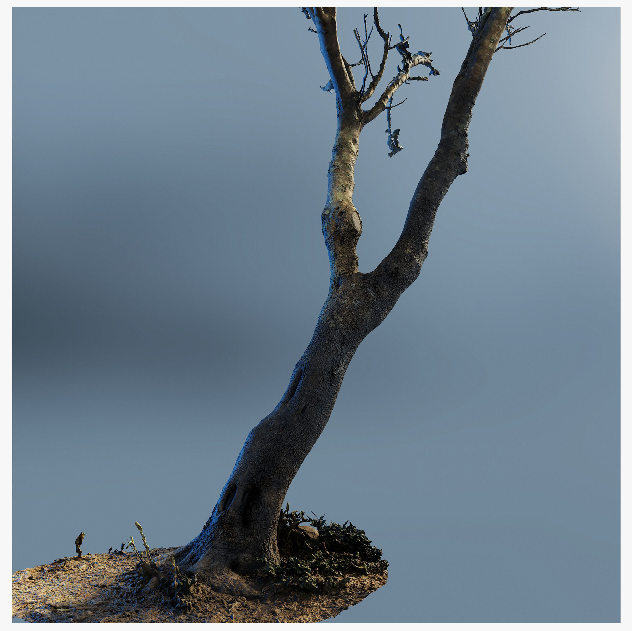 scantree01 dead tree 3D model | CGTrader