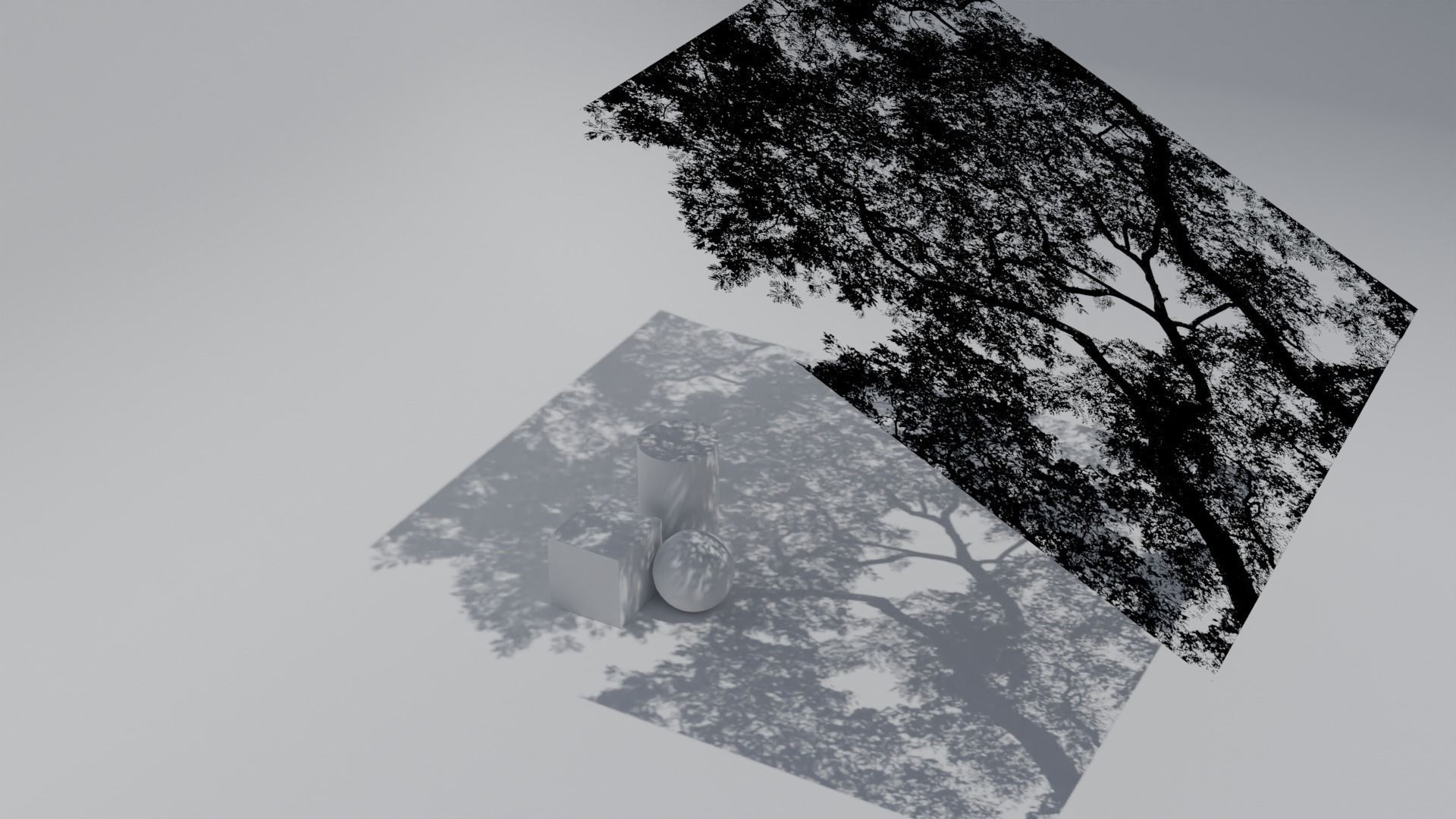 Tree Canopy GOBO Pack Animated and Stills free VR / AR / low-poly ...