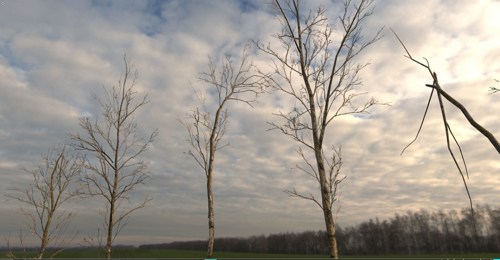 3D model 7 Dry Forest tree HDRP VR / AR / low-poly | CGTrader