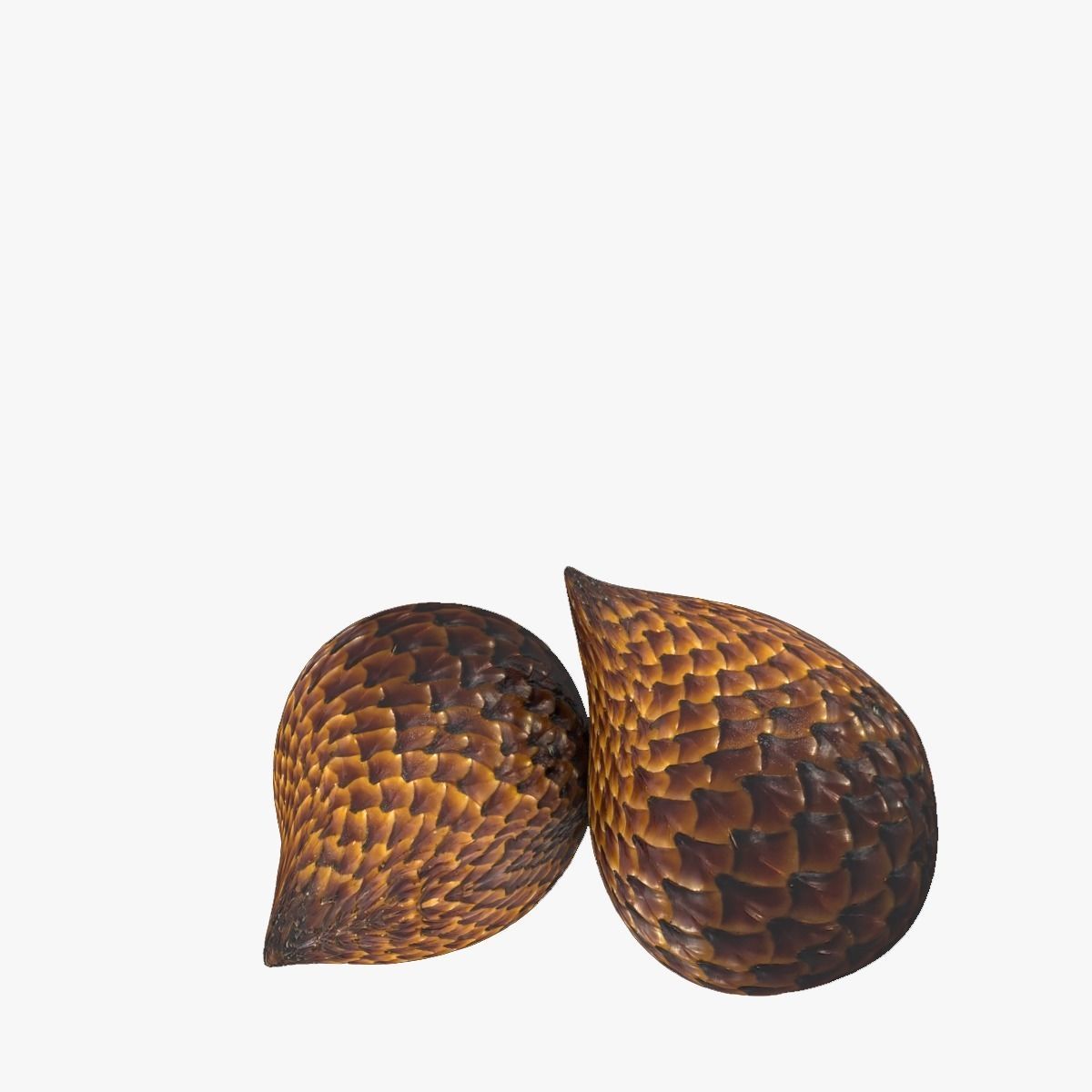 snakefruit two spheres 3D model | CGTrader