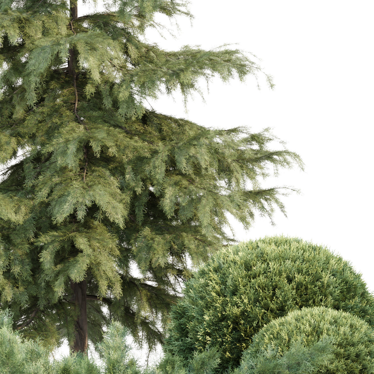 Seasonal Juniper Garden collection vol 143 3D model | CGTrader