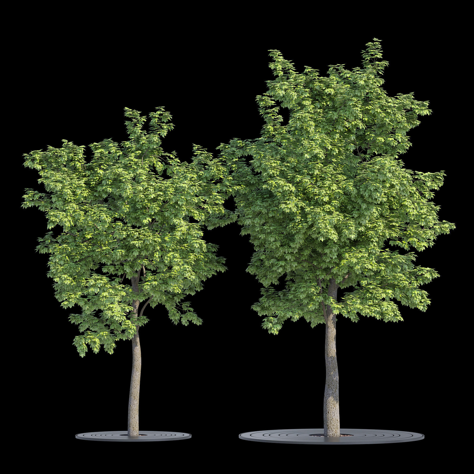 Croso circles grille 3D model | CGTrader