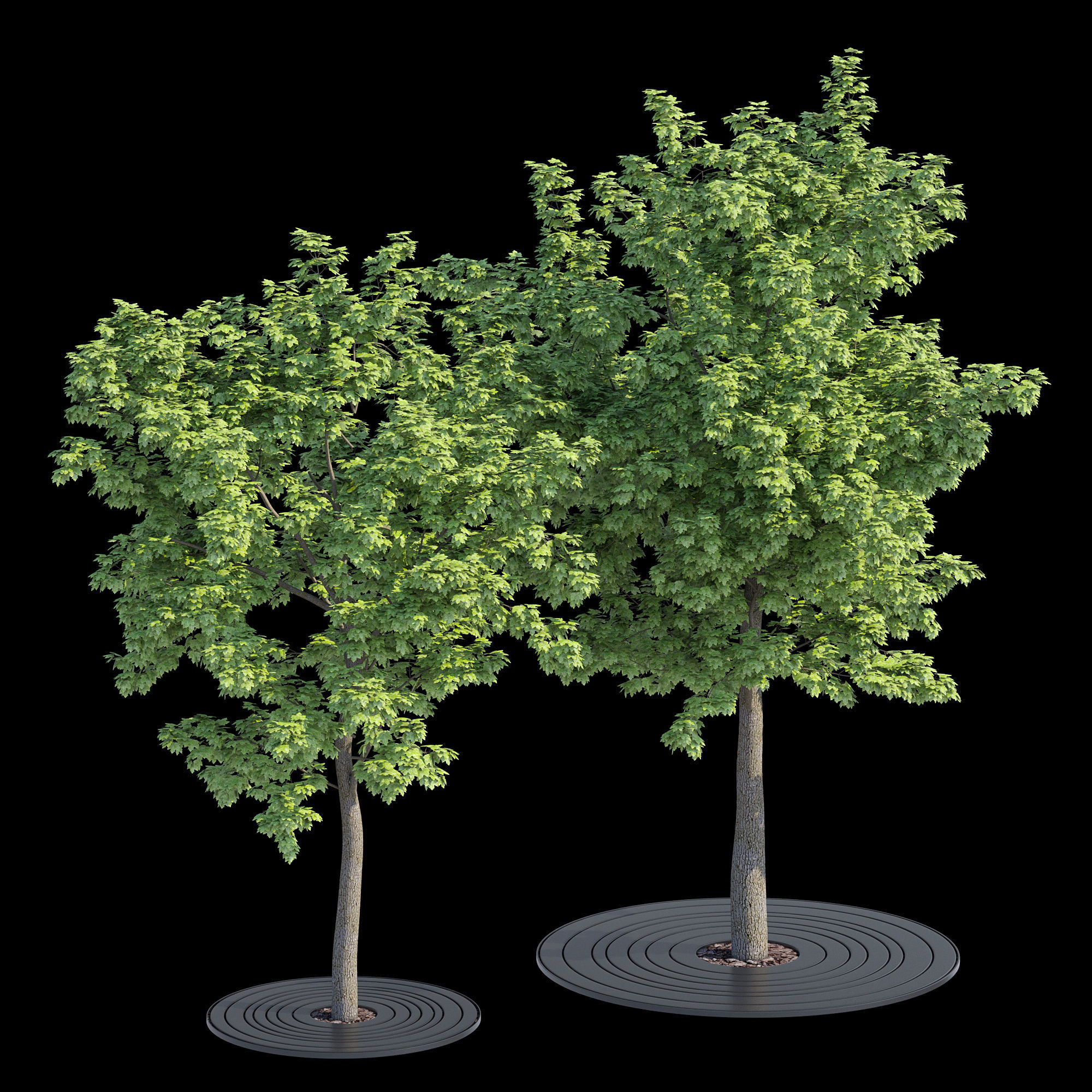 Croso circles grille 3D model | CGTrader